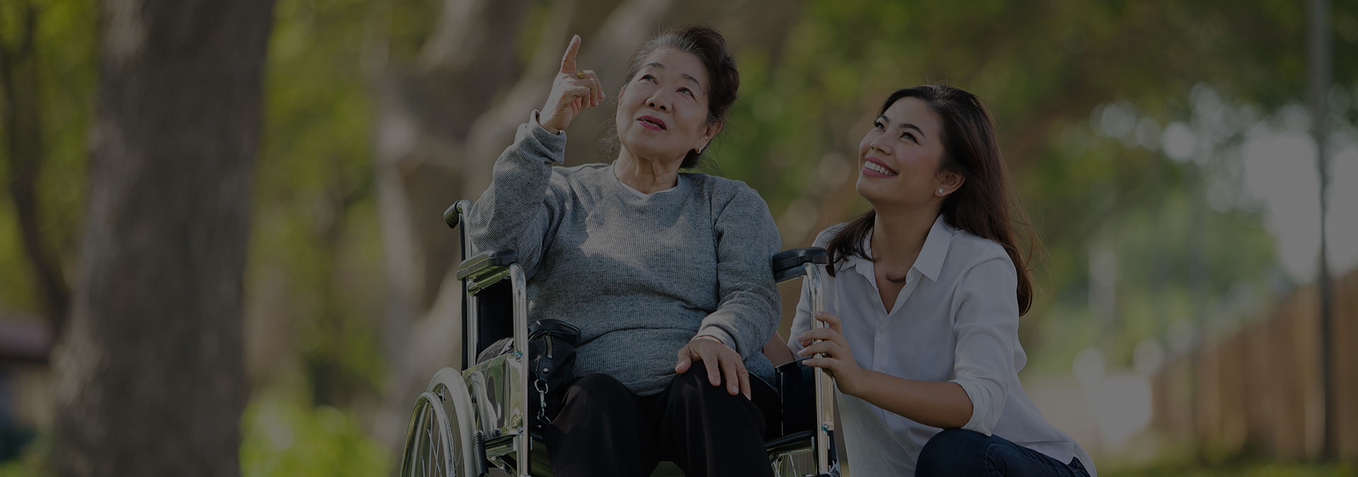 Averity Insurance – Averity Insurance – Your Insurance Brokers